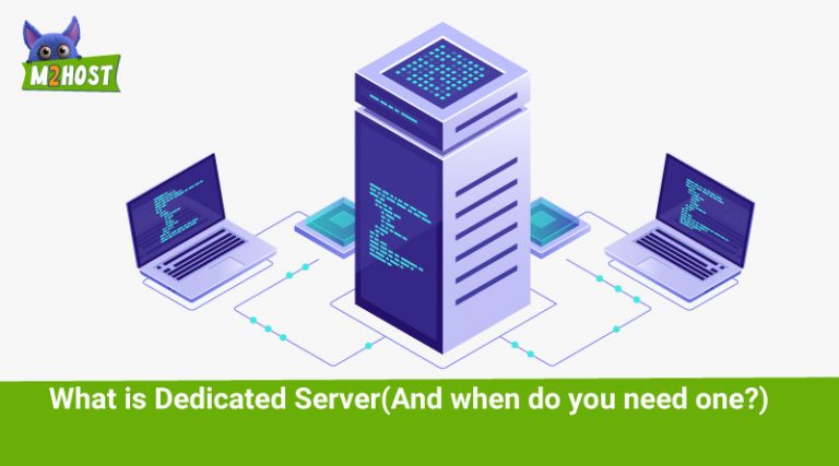 What is a Dedicated Server (And When Do You Need One?) | M2Host.com